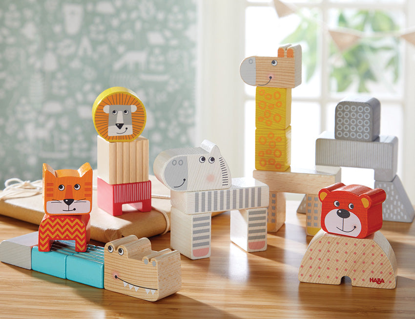 Blocks & Construction Toys – Send A Toy