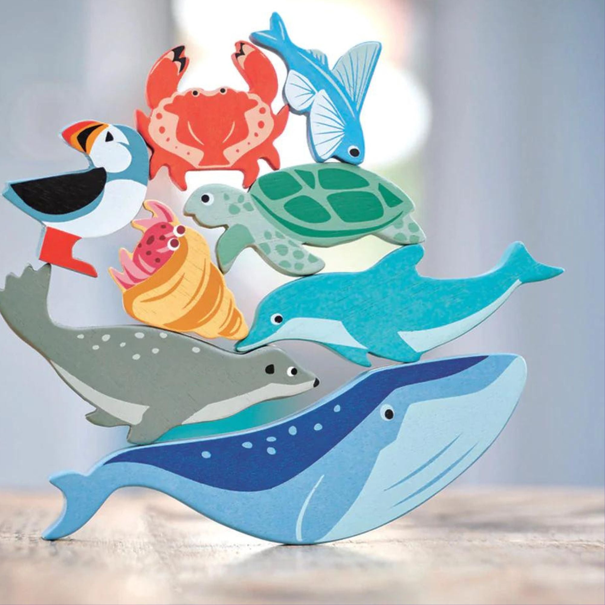 Educational Stacking and Sorting Toys for Kids - Send A Toy – Send A Toy